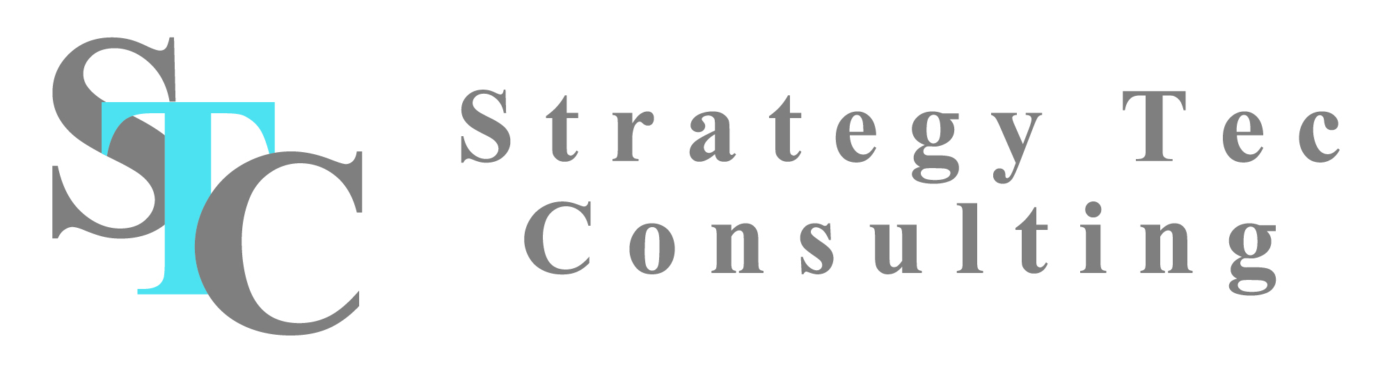 Strate Friends-StrategyTec Consulting-